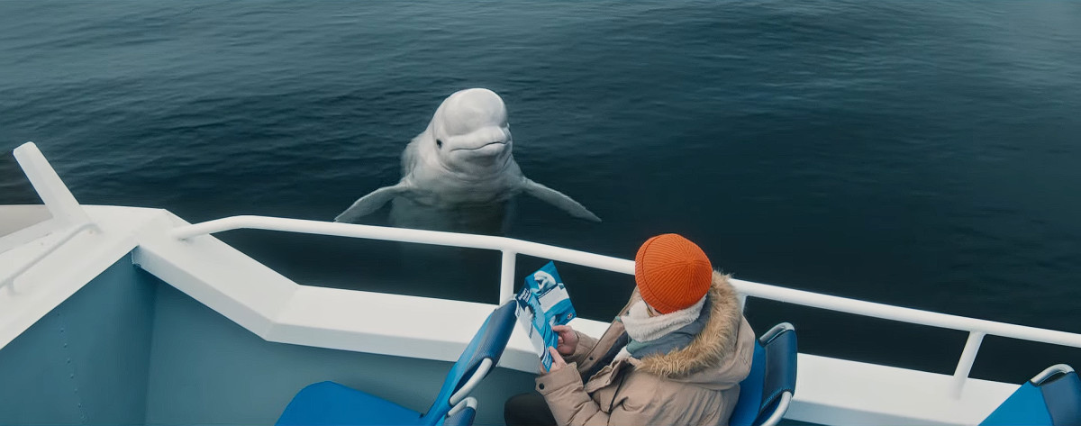 NerdWallet Is Bringing a Genius Beluga to the Super Bowl | DesignRush