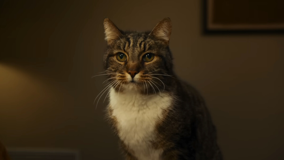 Apple Highlights 'Clean Up' Tool in Fun New iPhone Campaign | DesignRush