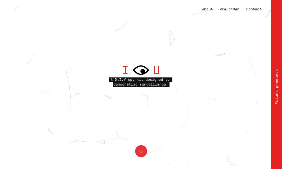 Best Website Design Inspiration: I See You | DesignRush