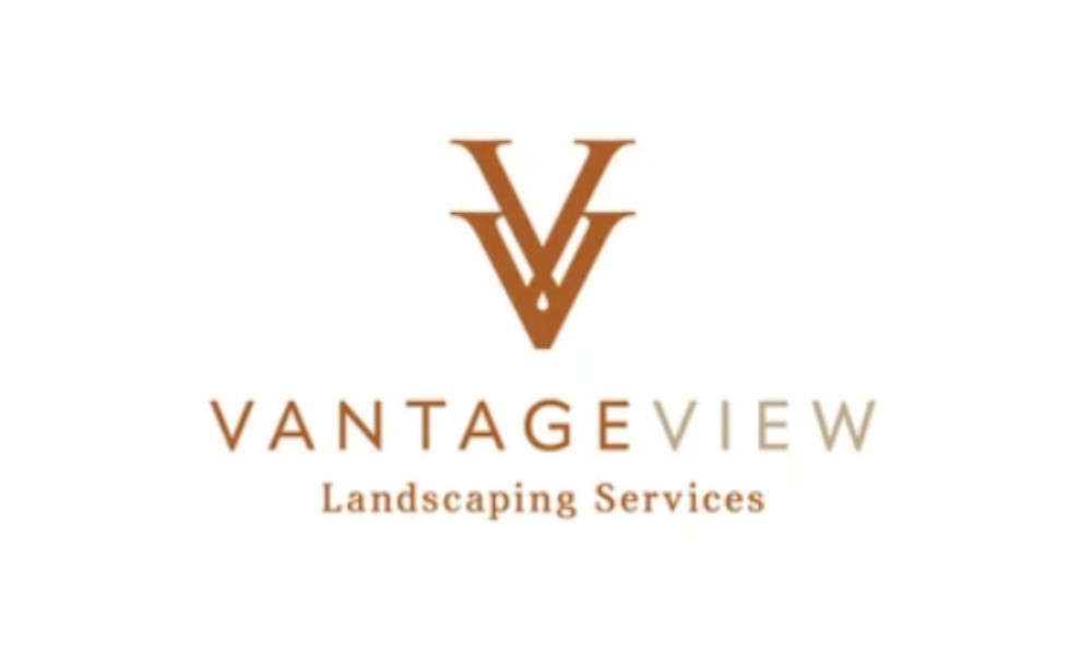 VantageView Logo Design Analysis | DesignRush