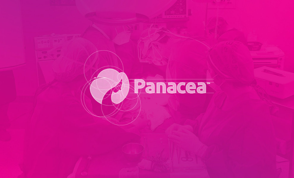 Panacea Logo Design Analysis | DesignRush
