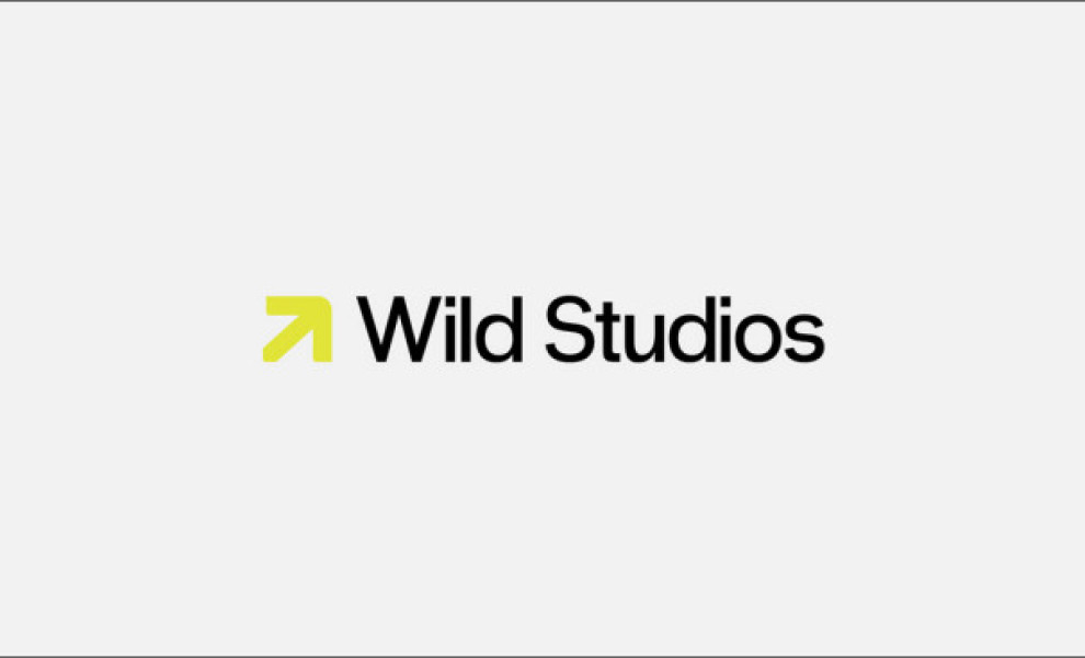 Wild-Studios Logo Design Analysis | DesignRush