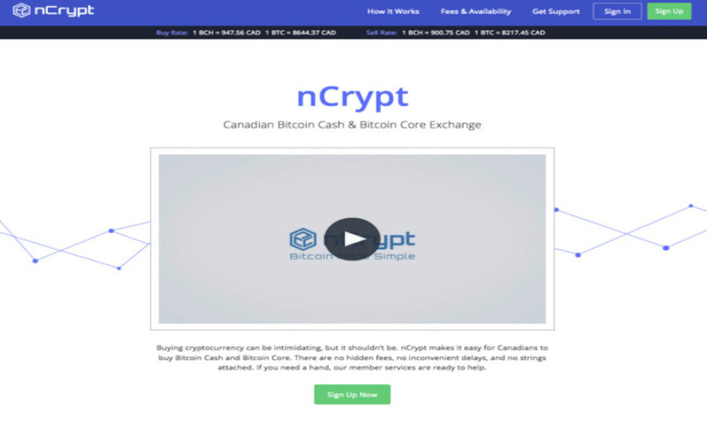 NCrypt Web Design Analysis | DesignRush