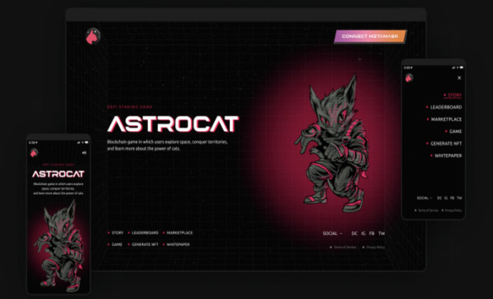 Astrocat Web Design Analysis | DesignRush