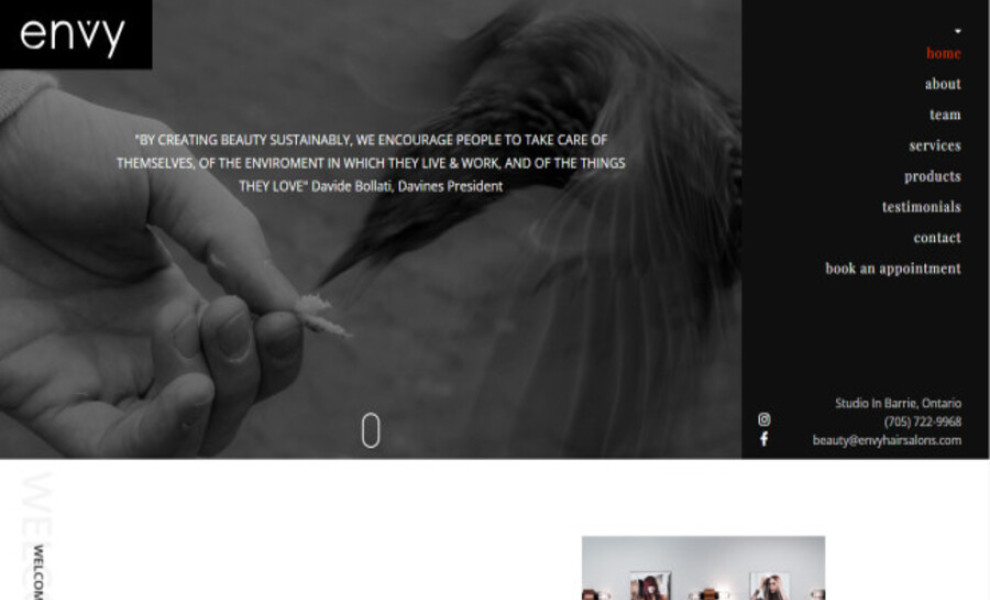 Envy Hair Salon Web Design Analysis | DesignRush