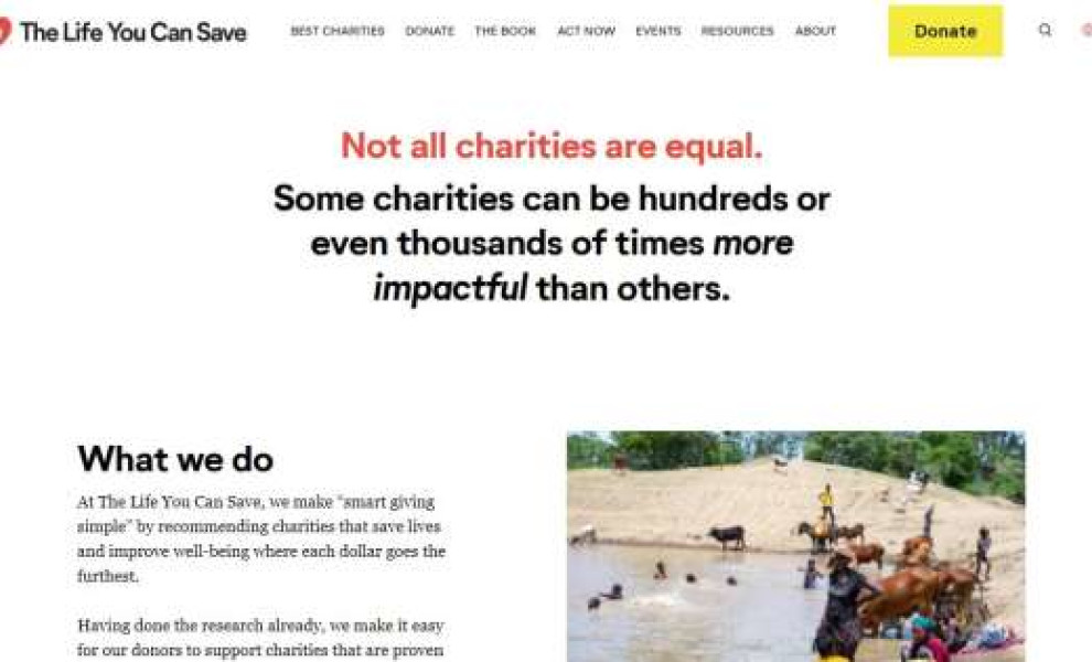 The Life You Can Save Website Design Analysis | DesignRush