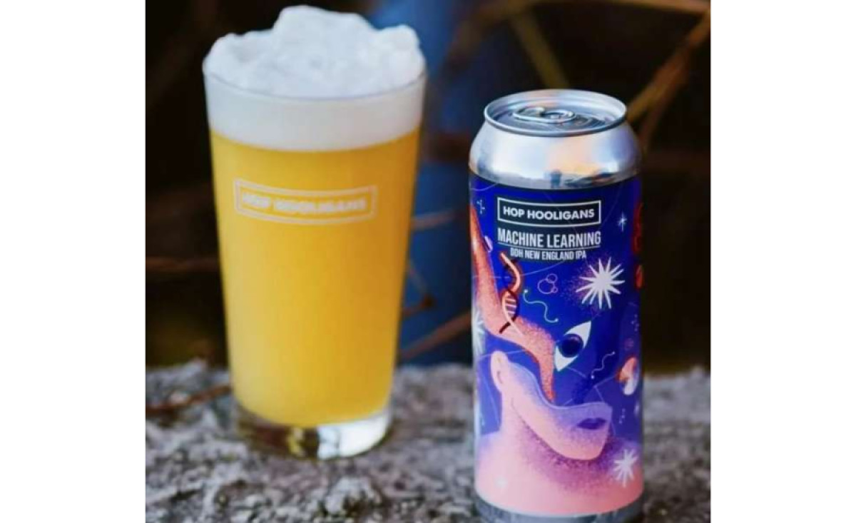 Hop Hooligans Machine Learning Packaging Design Analysis | DesignRush