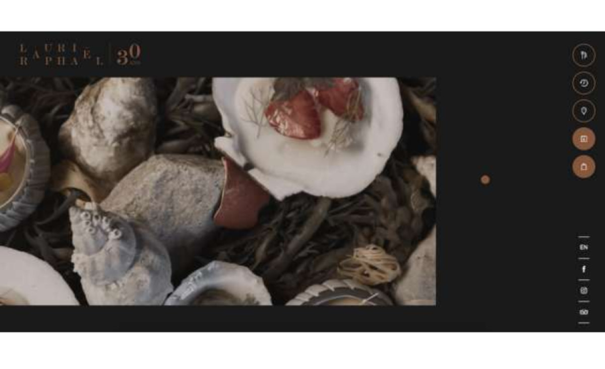 Laurie Raphaël Website Design Analysis | DesignRush