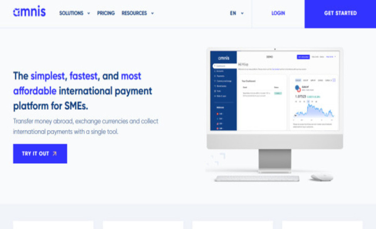 Amnis Web Design Analysis | DesignRush