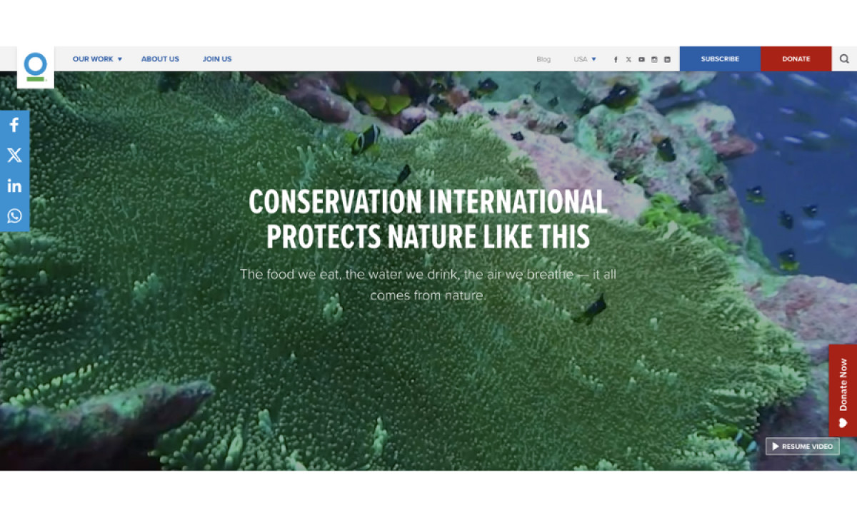 Conservation International Website Design Analysis | DesignRush