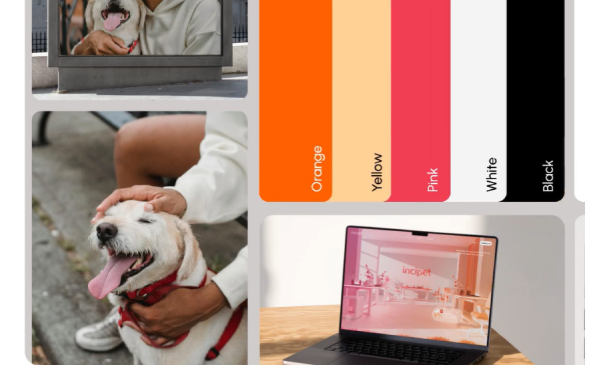 Incipet Website Design Analysis | DesignRush