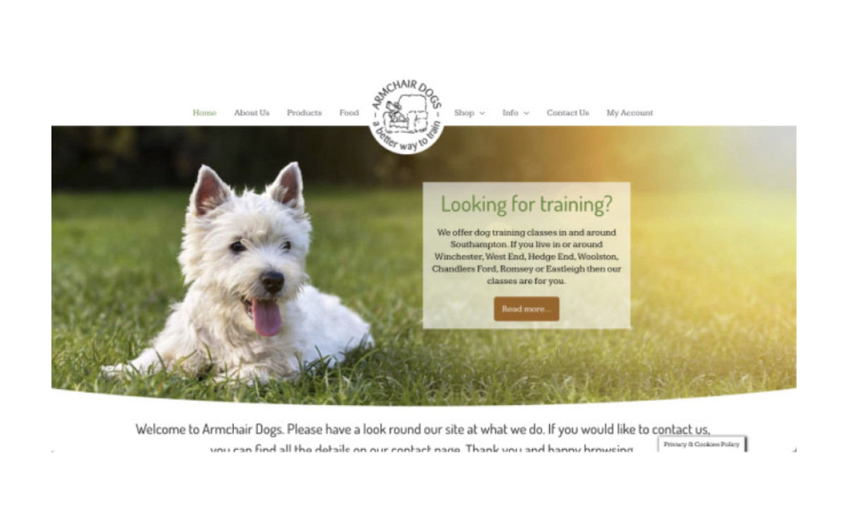 Armchair Dogs Website Design Analysis | DesignRush