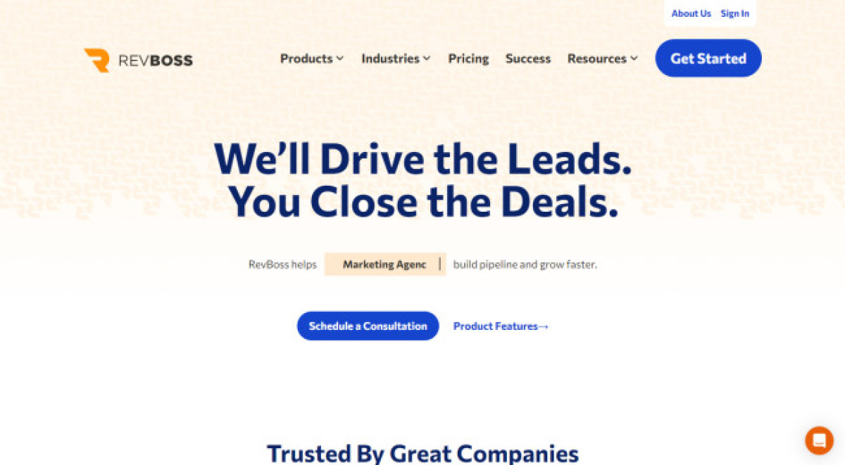 RevBoss Website Design Analysis | DesignRush