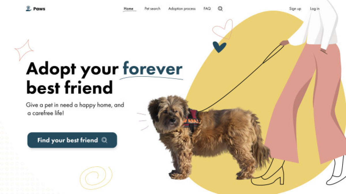 Paws App Design Analysis | DesignRush