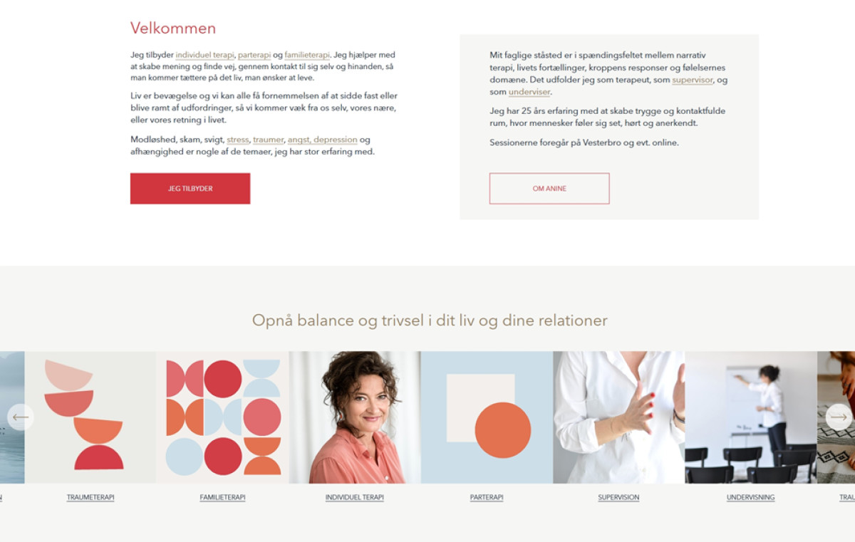 Anine Boisen Website Design Analysis | DesignRush