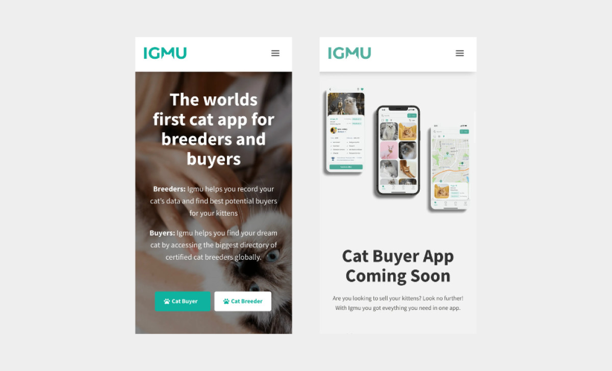 Igmu App Design Analysis | DesignRush