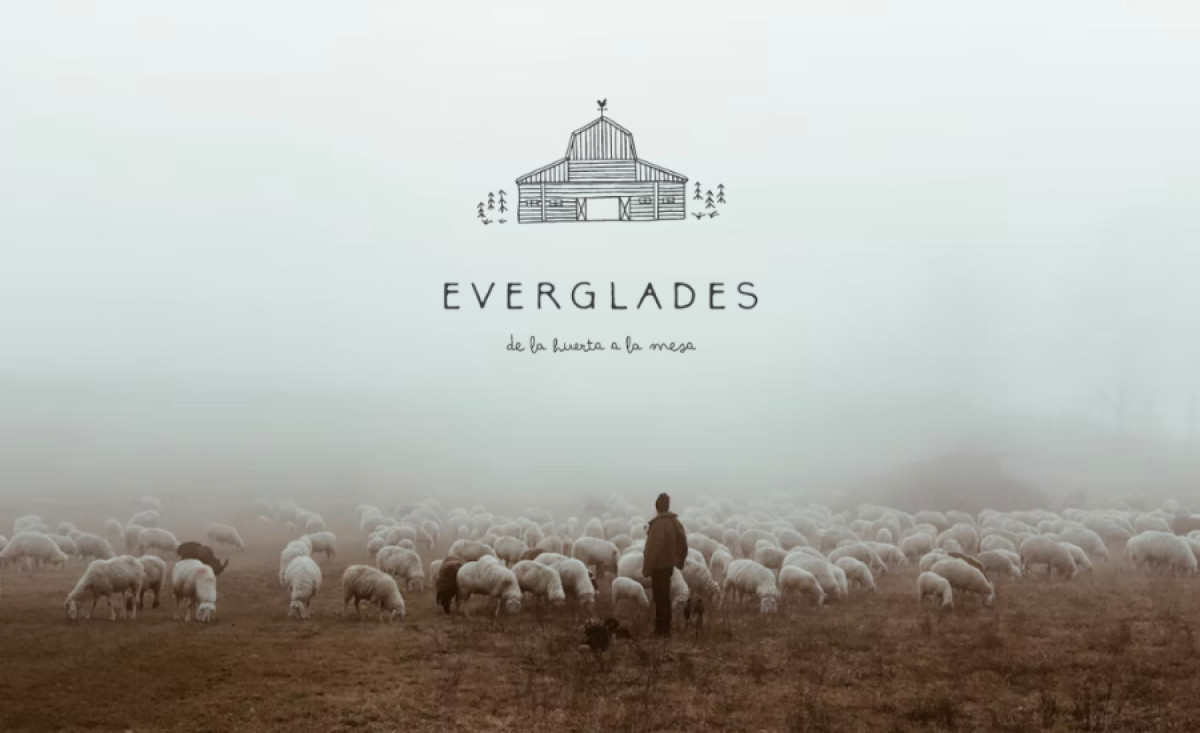 Everglades Logo Design Analysis | DesignRush