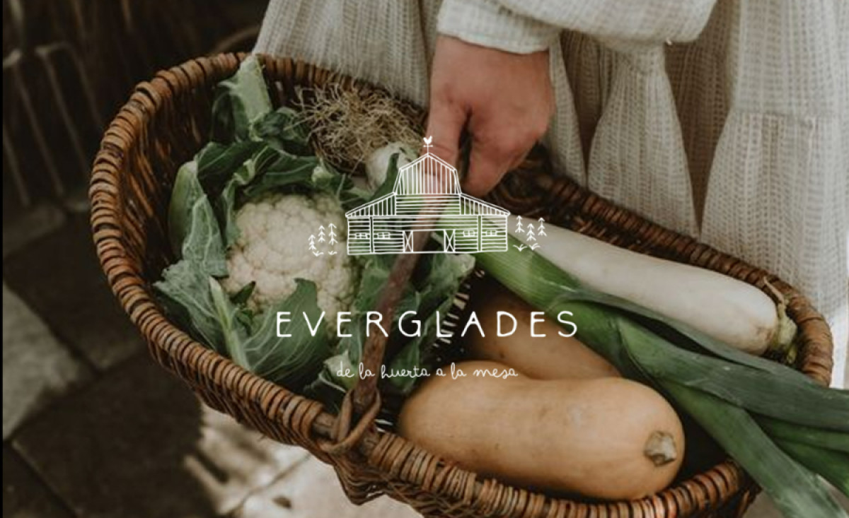 Everglades Logo Design Analysis | DesignRush