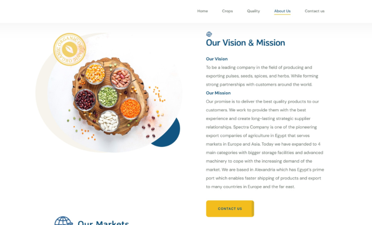 Spectra Company Website Design Analysis | DesignRush