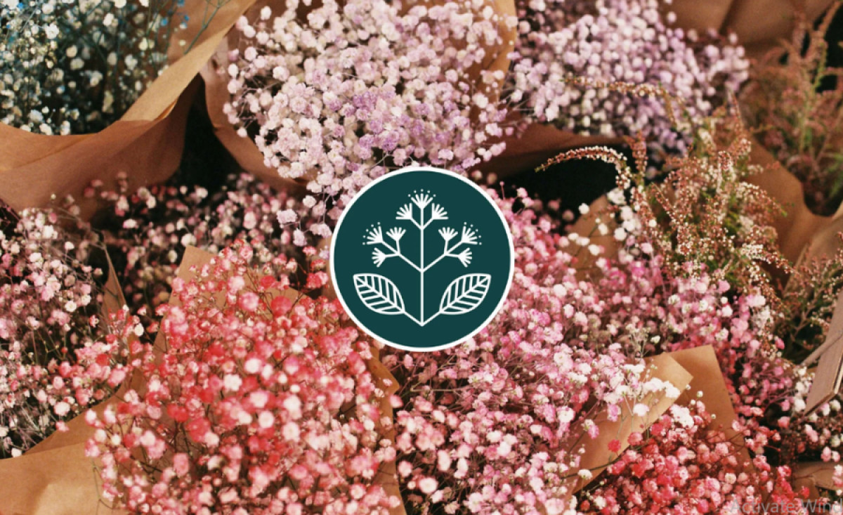 Elderflower Ephemera Logo Design Analysis | DesignRush