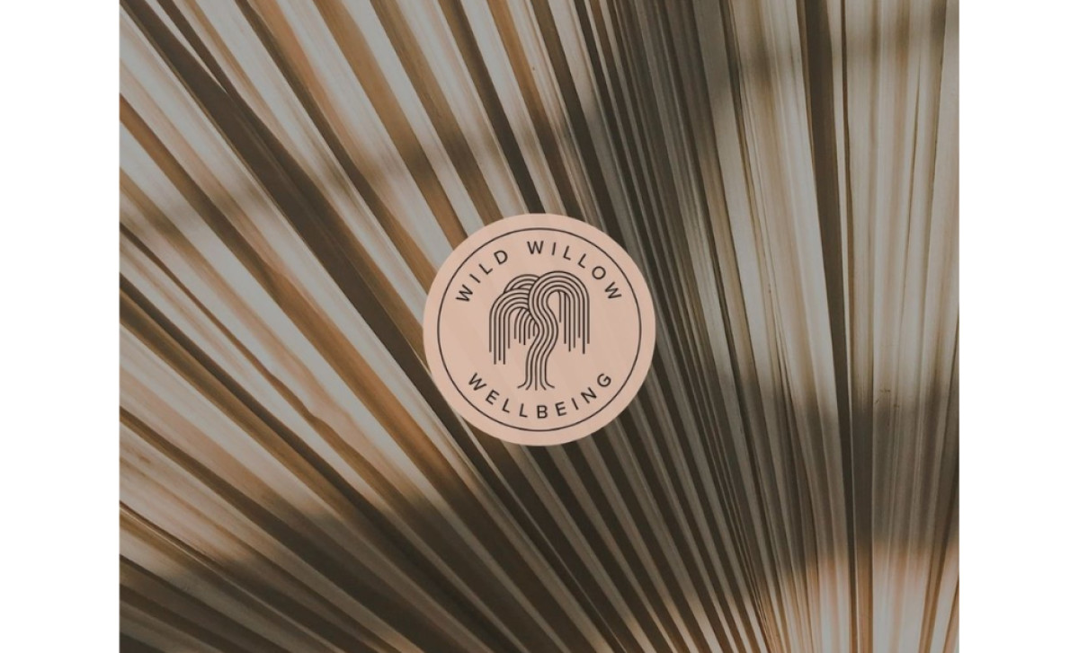 Wild Willow Wellbeing Logo Design Analysis | DesignRush