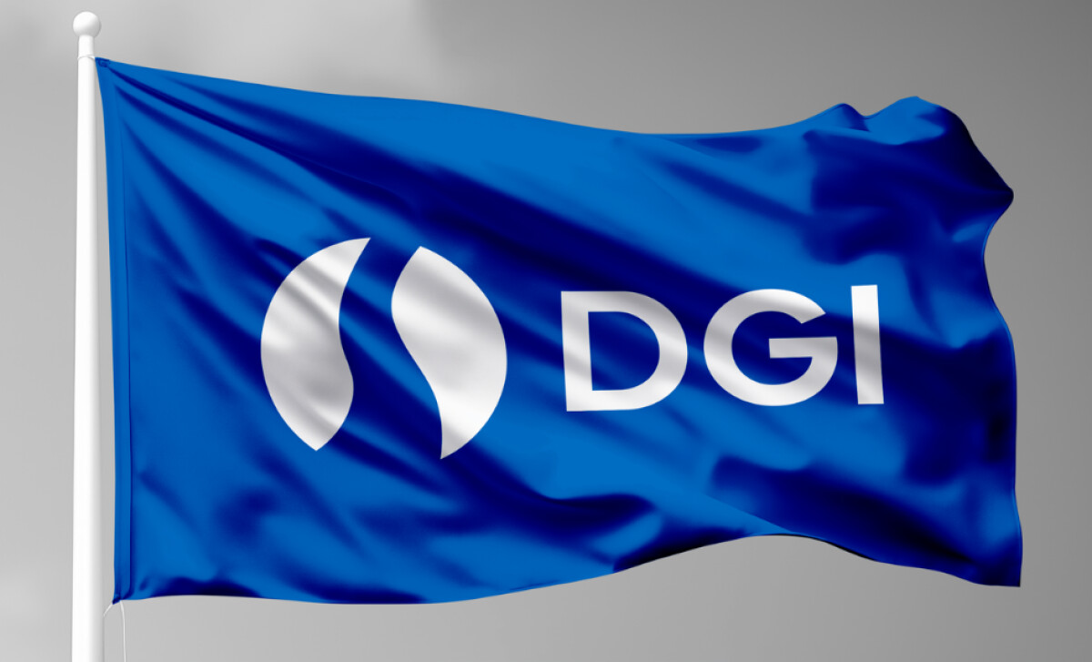 DGI Ingeniería Branding Design Analysis | DesignRush