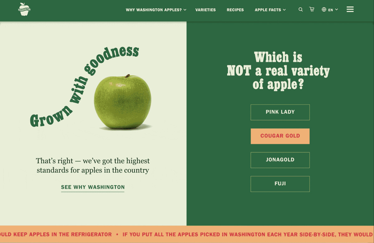 Washington Apple Commission Website Design Analysis | DesignRush
