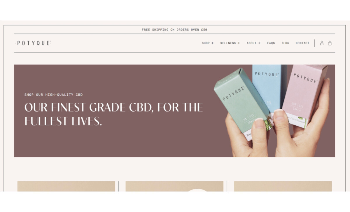 Potyque Website Design Analysis | DesignRush