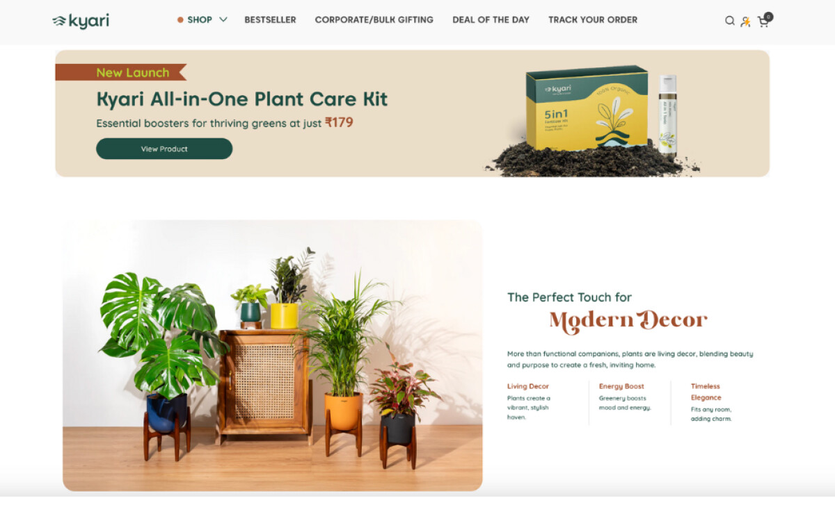 Kyari Website Design Analysis | DesignRush