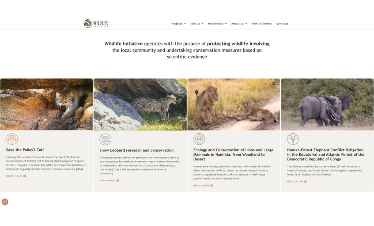 Wildlife Initiative Website Design Analysis | DesignRush