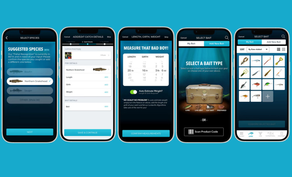 The Lunker Log App Design Analysis | DesignRush