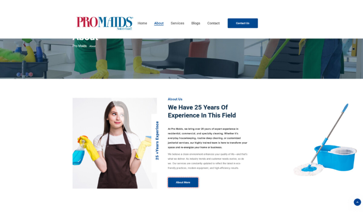 Pro Maids Website Design Analysis | DesignRush