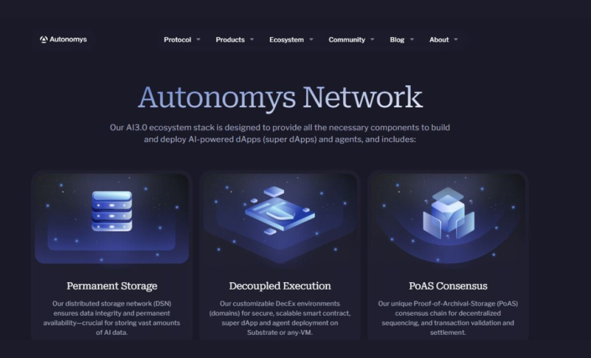 Autonomys Website Design Analysis | DesignRush