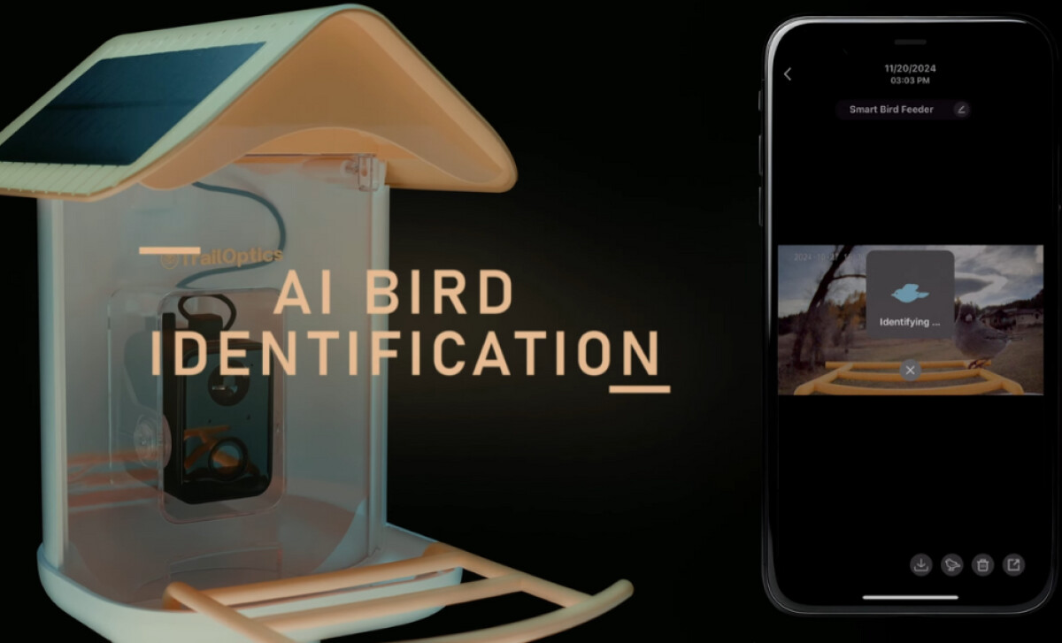 Smart Bird Feeder Video Design | DesignRush
