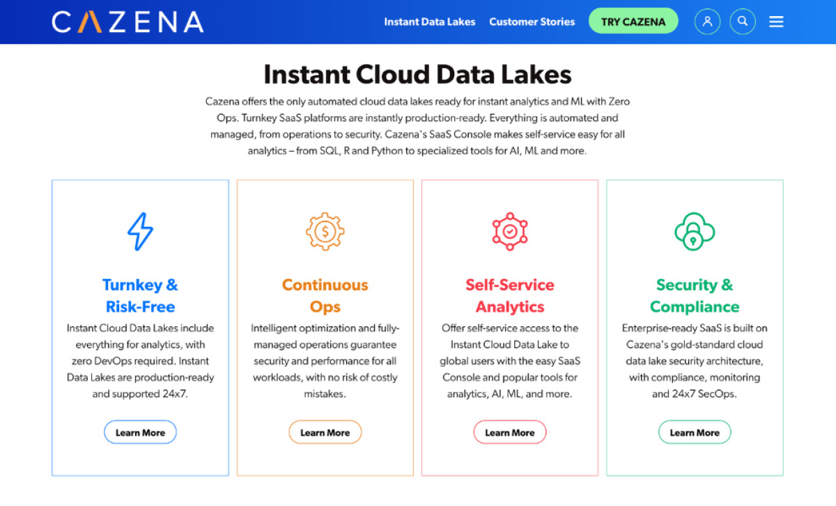 Cazena Website Design Analysis | DesignRush