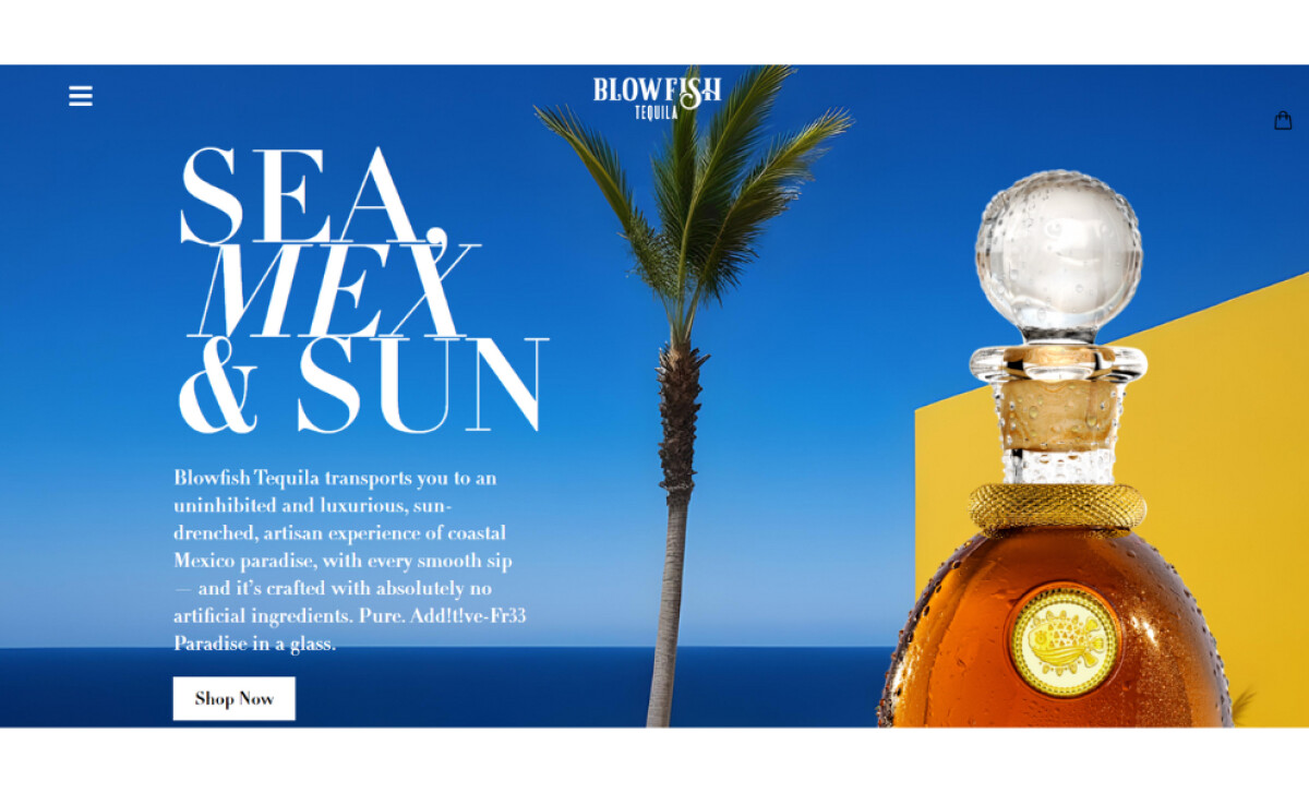 Blowfish Tequila Website Design | DesignRush