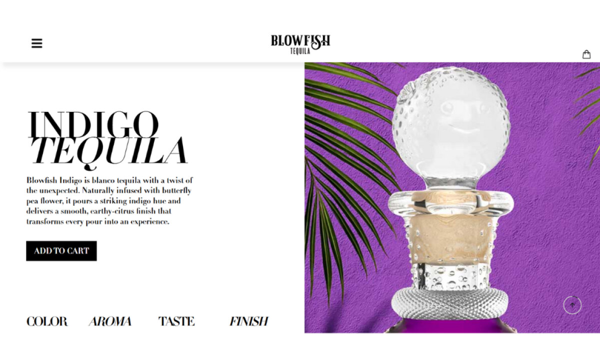 Blowfish Tequila Website Design | DesignRush