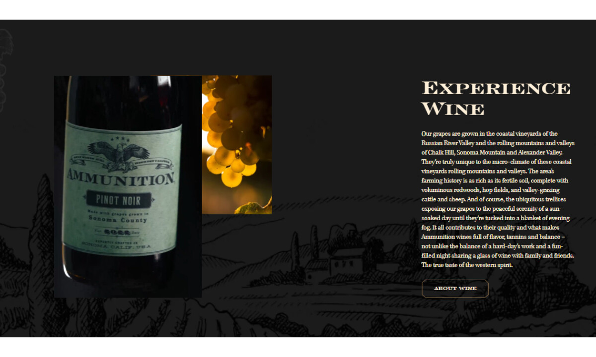 Ammunition Website Design | DesignRush