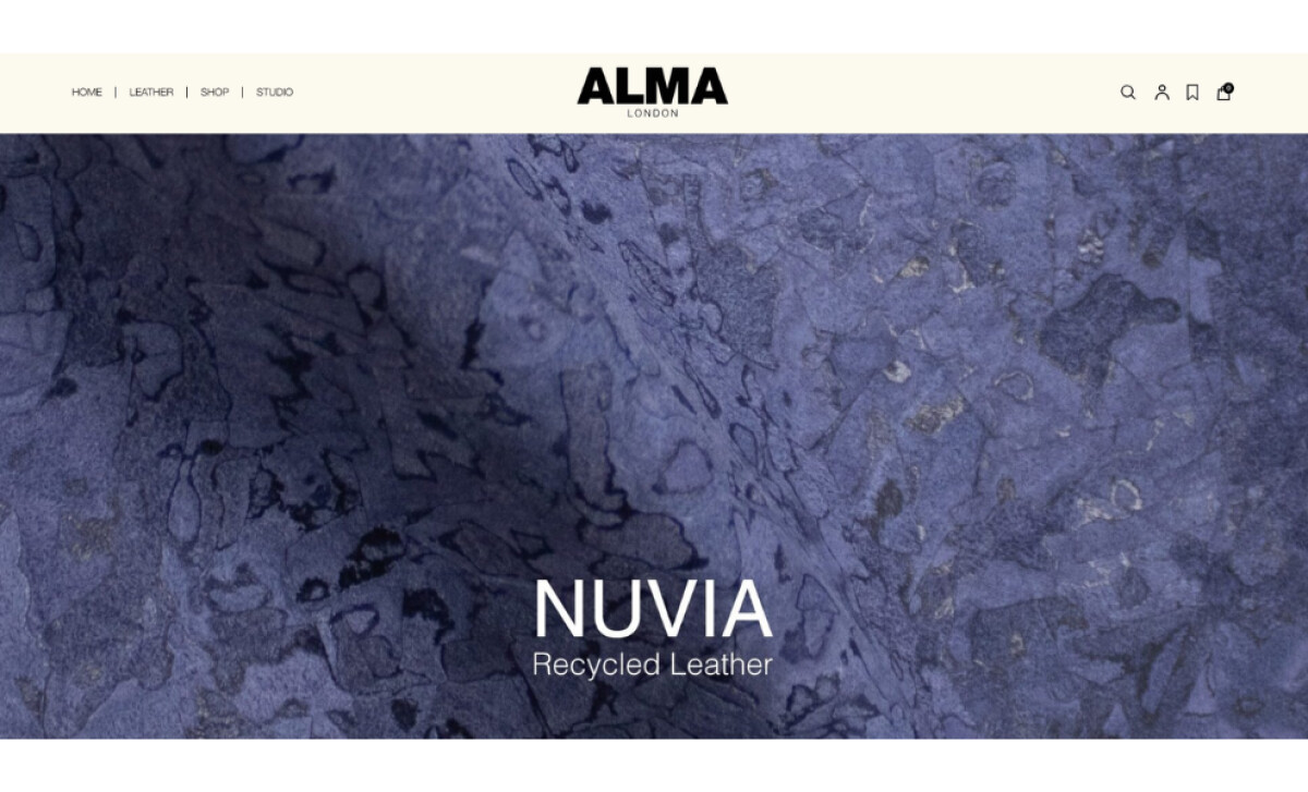 Alma 1938 Website Design | DesignRush