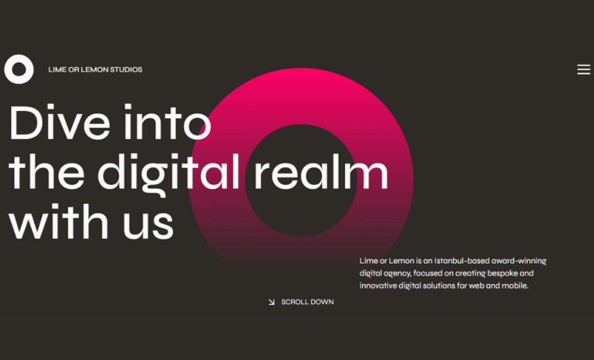 Lime or Lemon Studios Website Design | DesignRush