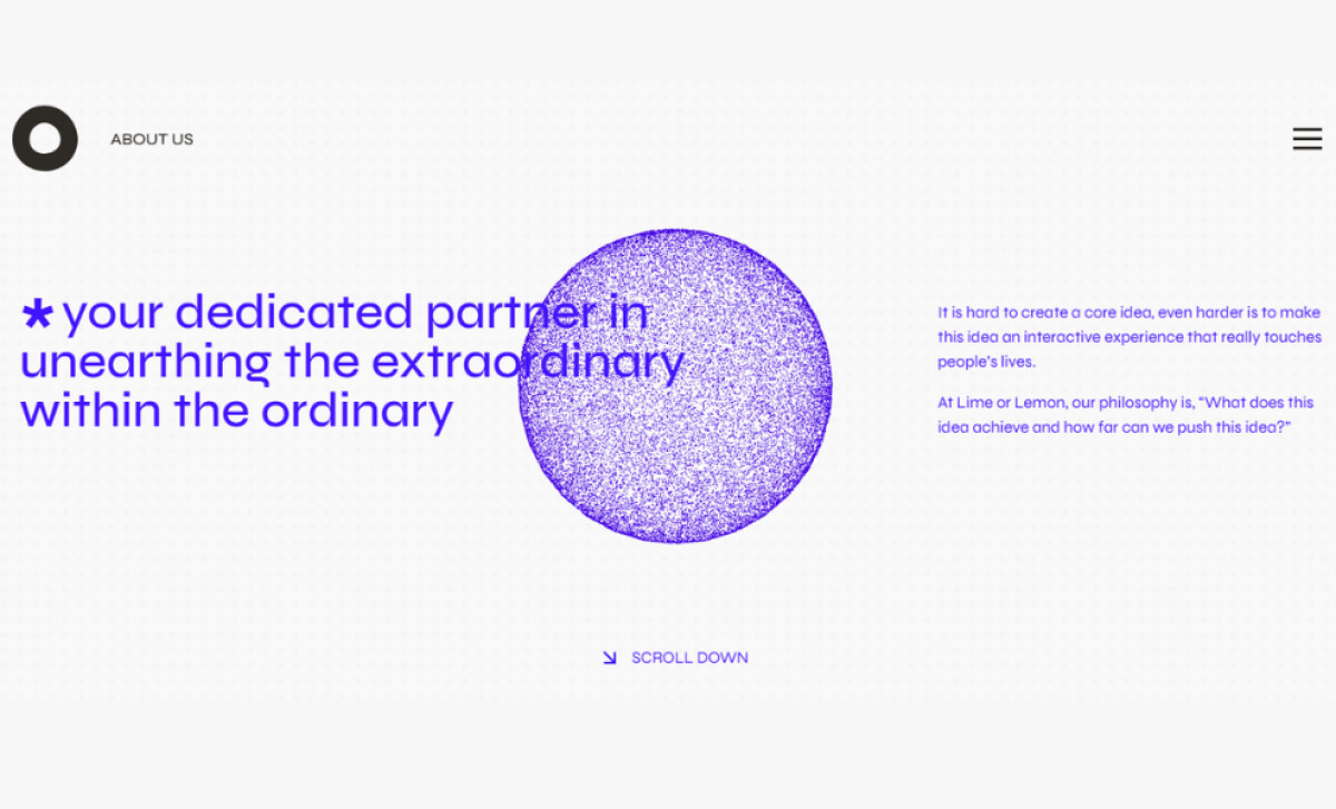 Lime or Lemon Studios Website Design | DesignRush