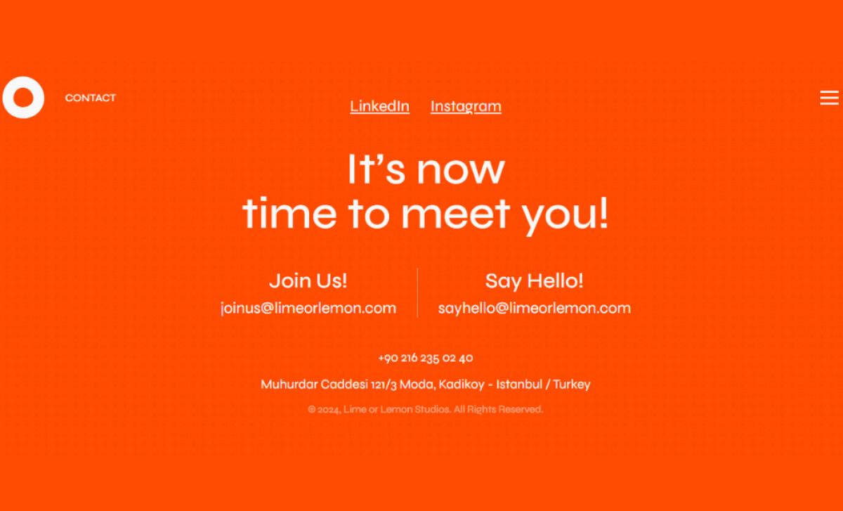 Lime or Lemon Studios Website Design | DesignRush