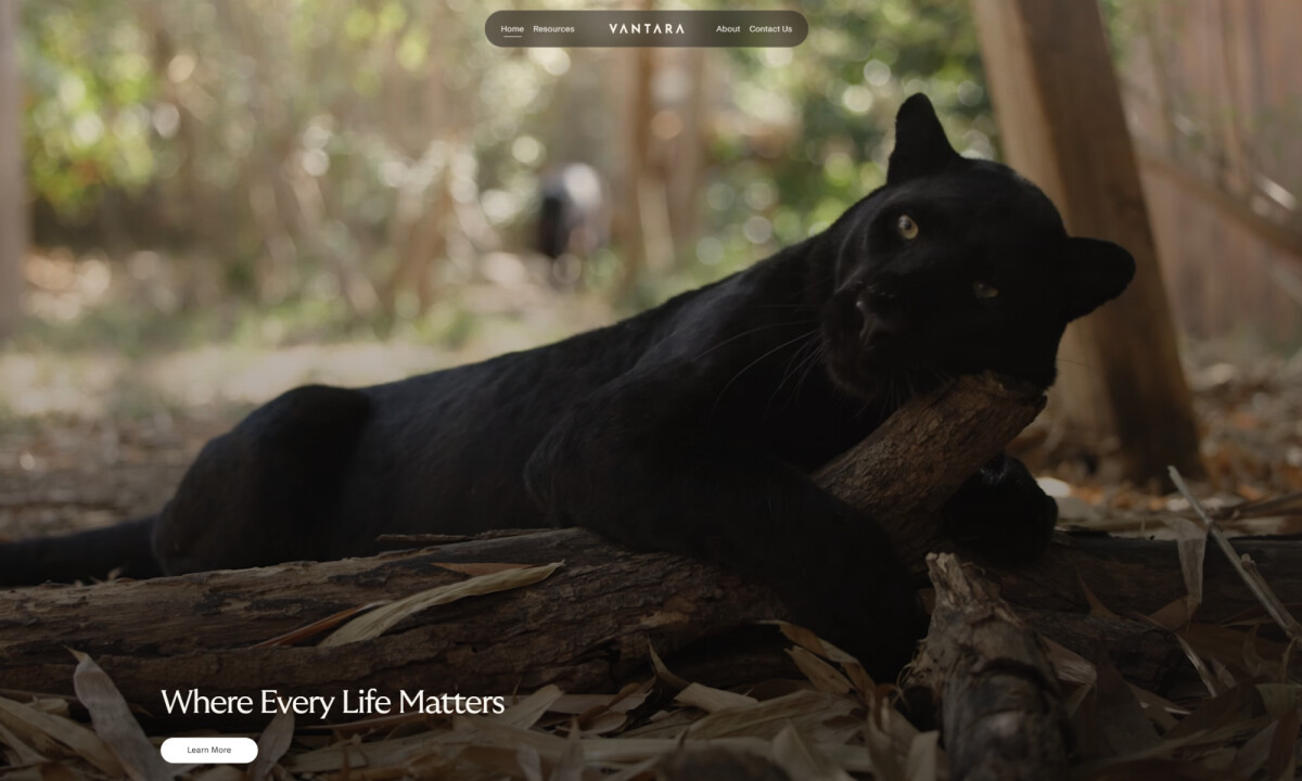 Vantara Website Design | DesignRush