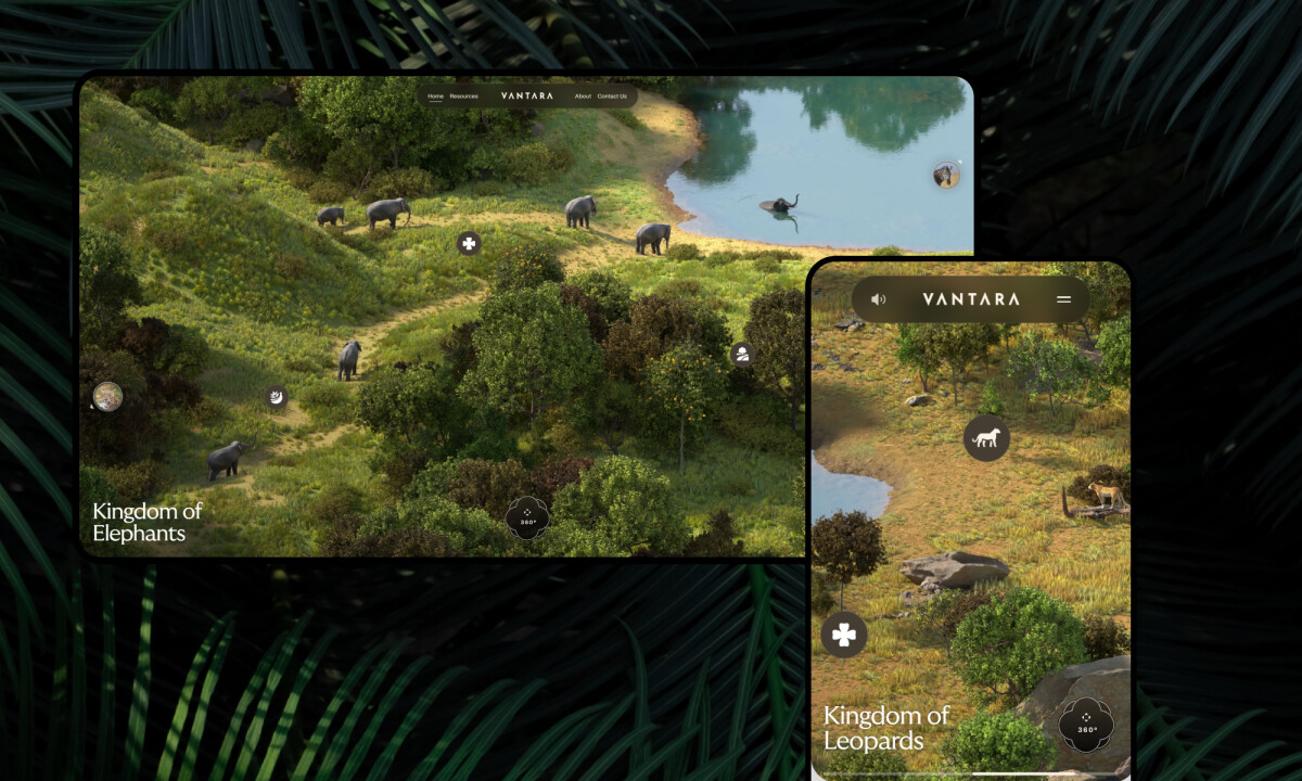 Vantara Website Design | DesignRush