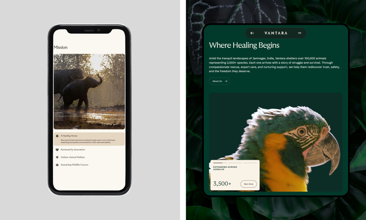 Vantara Website Design | DesignRush