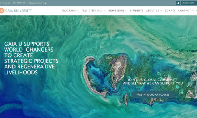 Gaia University Website Design Analysis | DesignRush