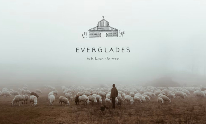 Everglades Logo Design Analysis | DesignRush