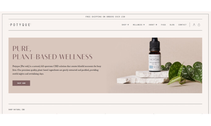 Potyque Website Design Analysis | DesignRush