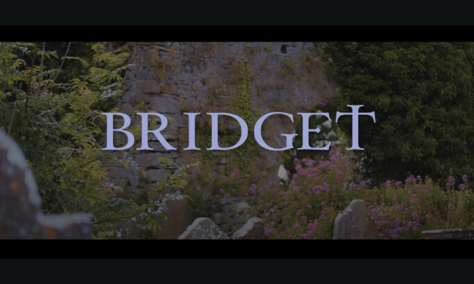 Bridget Trailer Design Analysis | DesignRush