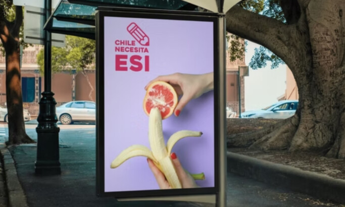 Chile Necesita ESI Print Campaign Design Analysis | DesignRush